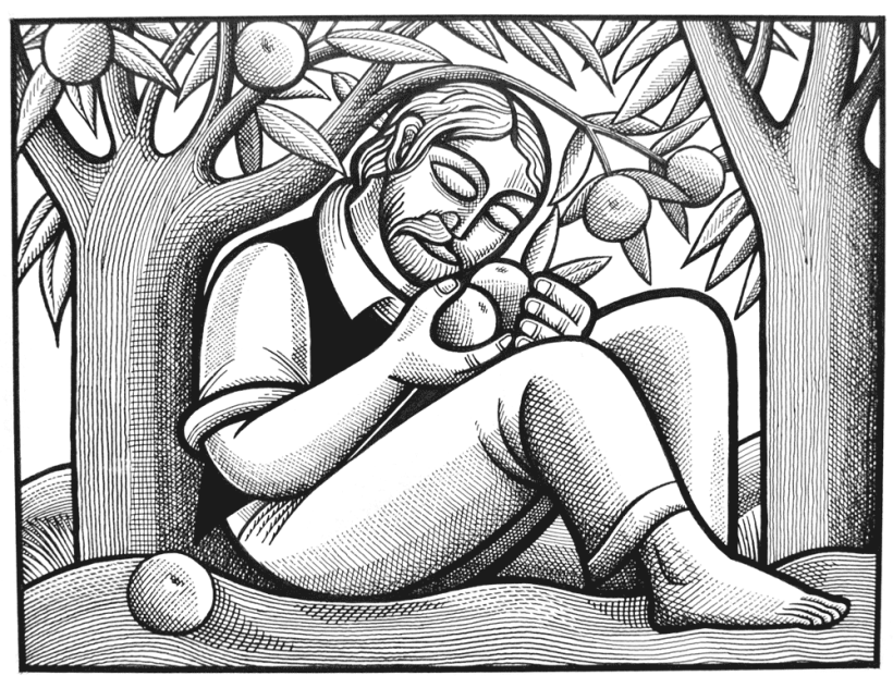 Orchards & Apples - Common Ground